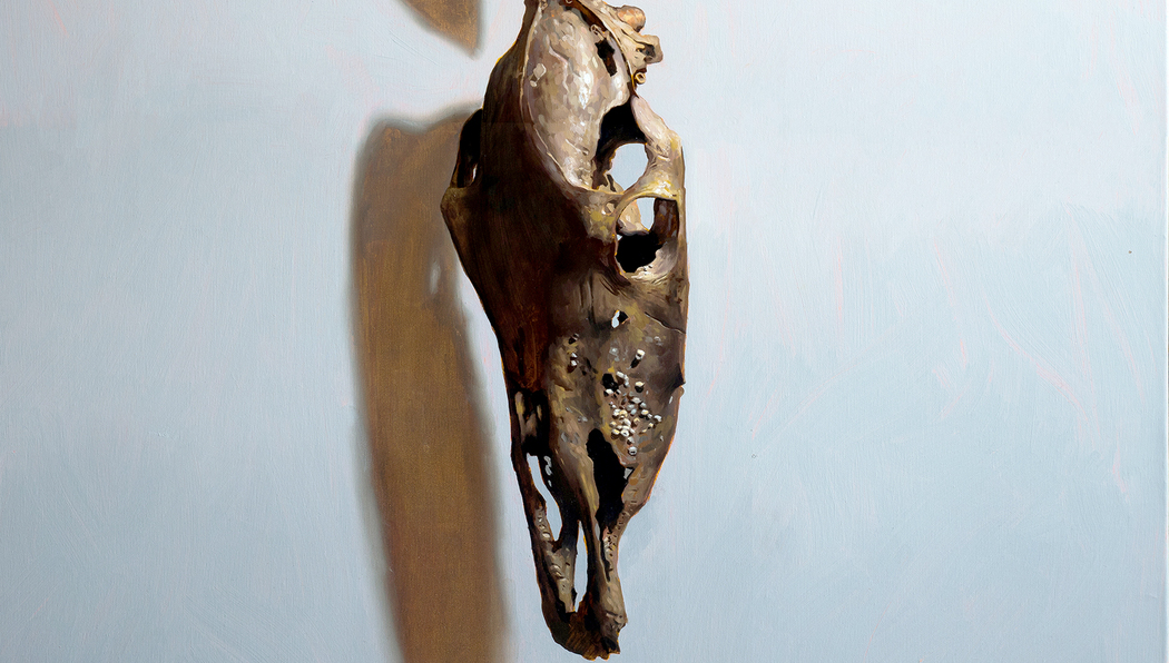 Home | Cooper Gallery